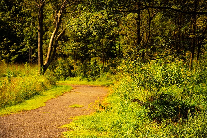 Meadow Meander Trail • Wilderness Louisville